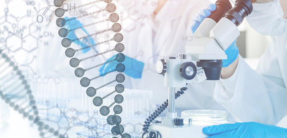 クオリタのお客様専用サイト人間ドック・名医紹介サービス - 日本最高峰の名医紹介サービス｜BeMECが提供できる8つのこと｜BeMEC倶楽部